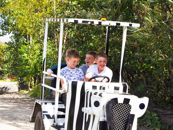 Fun Things to do in Durham - Diggerland UK Theme Park
