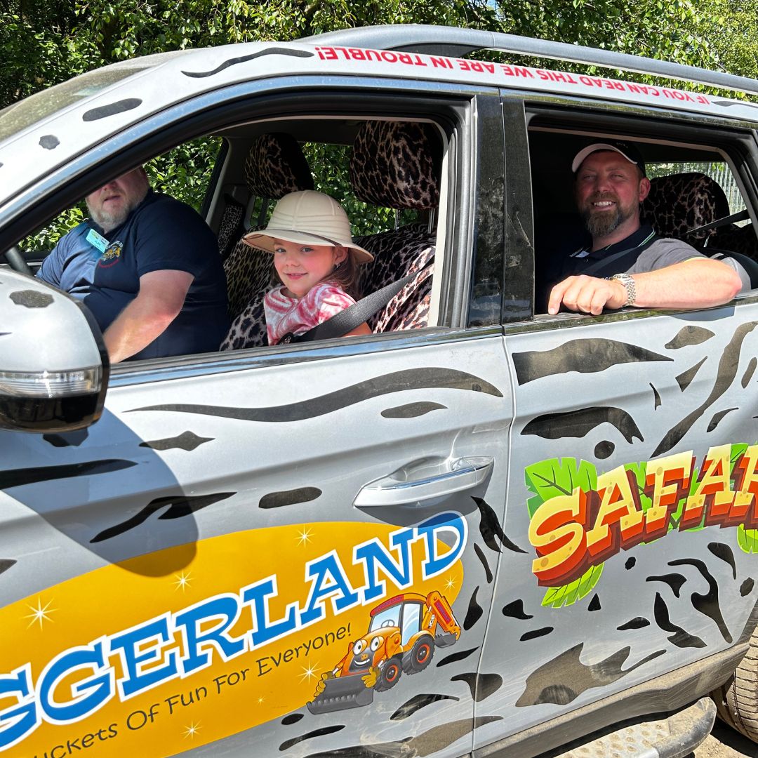 Diggerland Safari